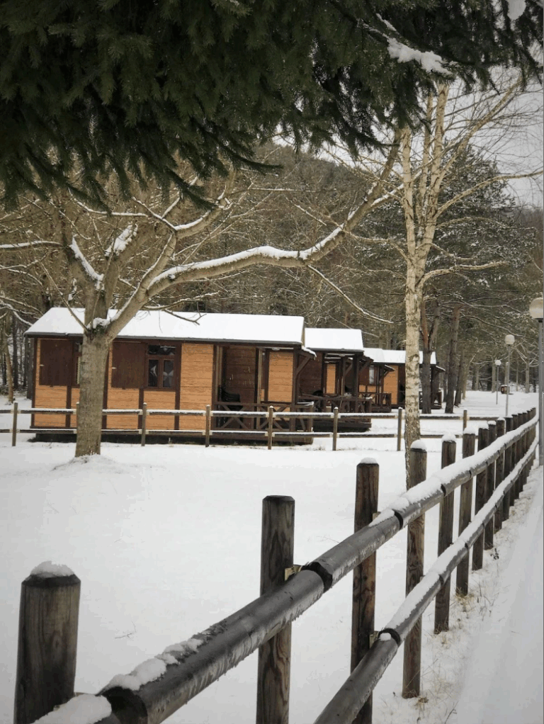 Esquiar a Catalunya: estacions i activitats de neu prop de Girona ...